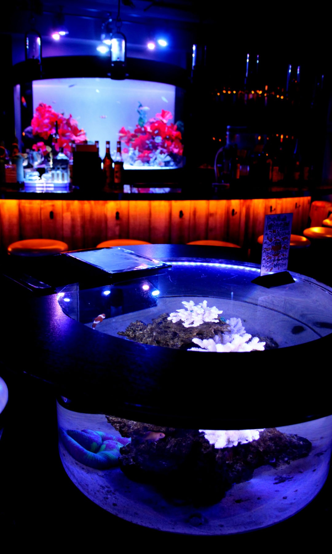 Watch the tropical fish in the aquarium table in front and take a look ...